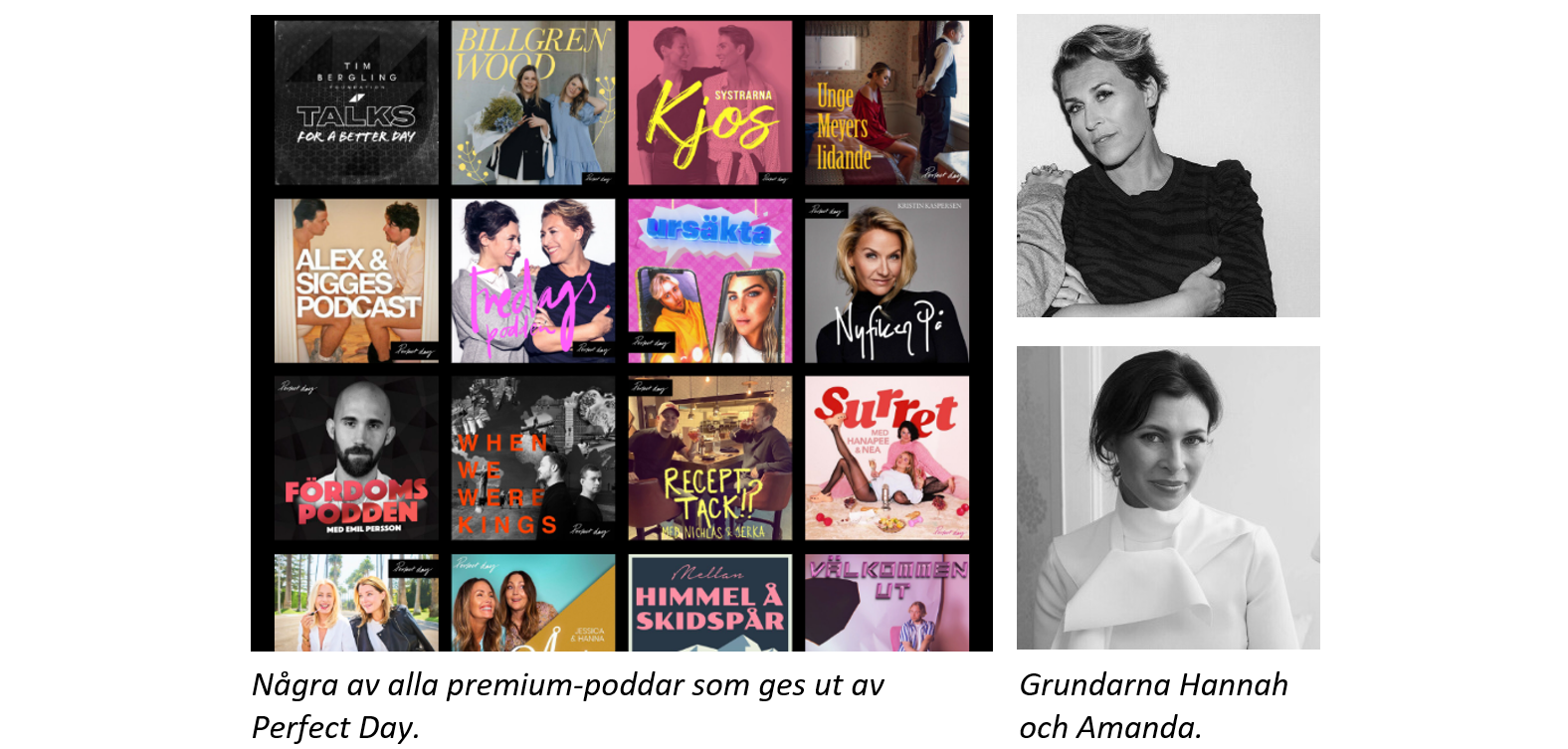 Head of Perfect Day | team720