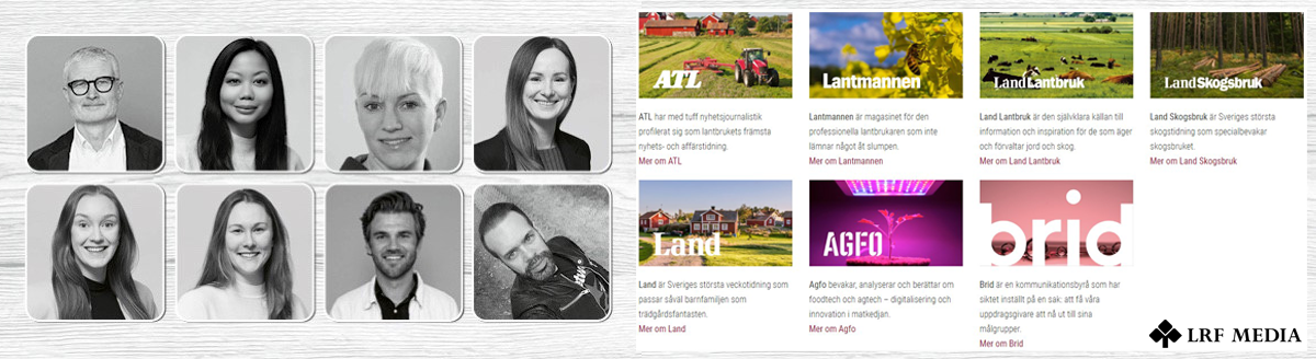 Strukturerad marknadsförare med intäktsfokus | team720